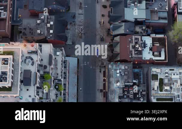 Urban landscape showcasing Torontos neighborhood with distinctive ...