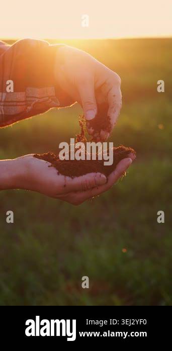 Close up of farmer hands holding fertile soil during sunset in ...