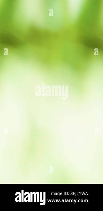 Vertical video. Defocused illumination overlay. Colorful flare. Green ...