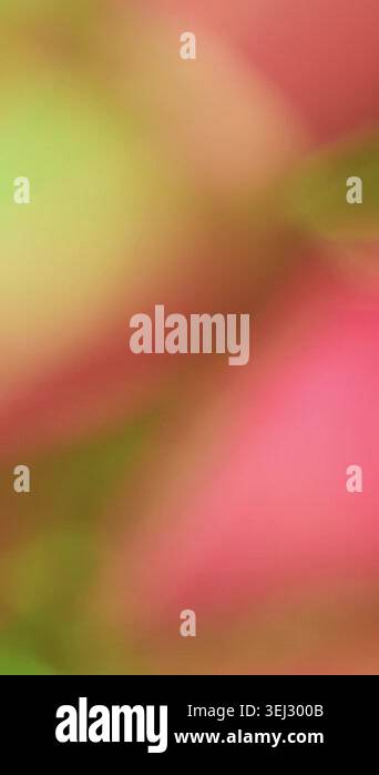 Vertical video. Blur illumination. Reflection flash texture. Pink green ...