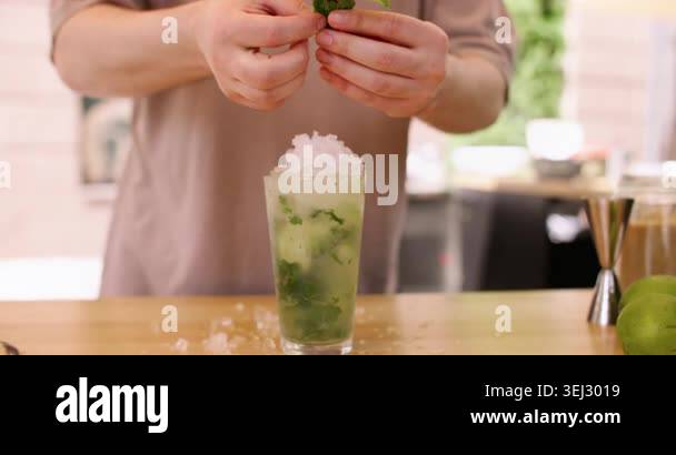 Garnishing mojito. Serving cocktail. Unrecognizable barman hand adding ...
