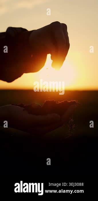 Close up of farmer hands examining fertile soil at sunset in ...