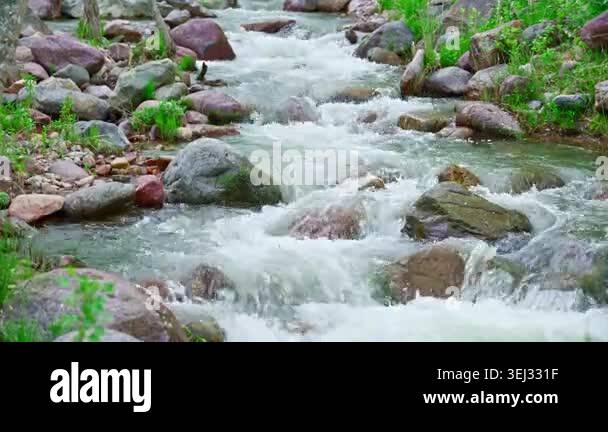 Static wide view of fast mountain river with rapids flowing between ...