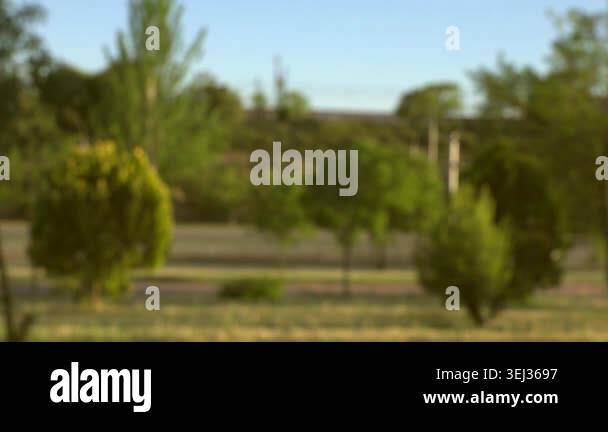 Out of focus view of a natural landscape with green trees and ...