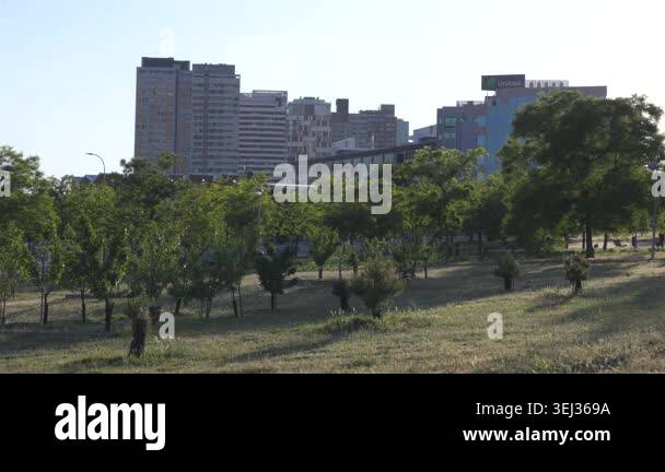Madrid, Spain, May 21-2026: Sunny urban park with green grass and trees ...
