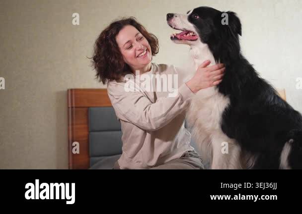 Smiling woman playing with cute puppy dog border collie on bed at home ...
