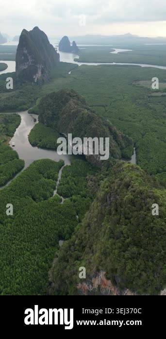 Aerial view over Phang Nga's dense mangrove forest, winding river and ...