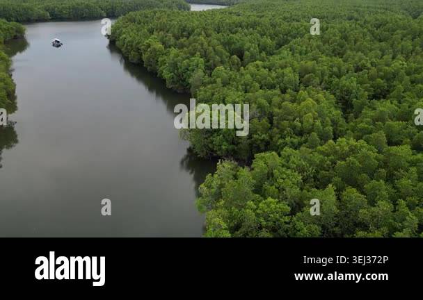 Aerial footage flying backward over a meandering river through a dense ...