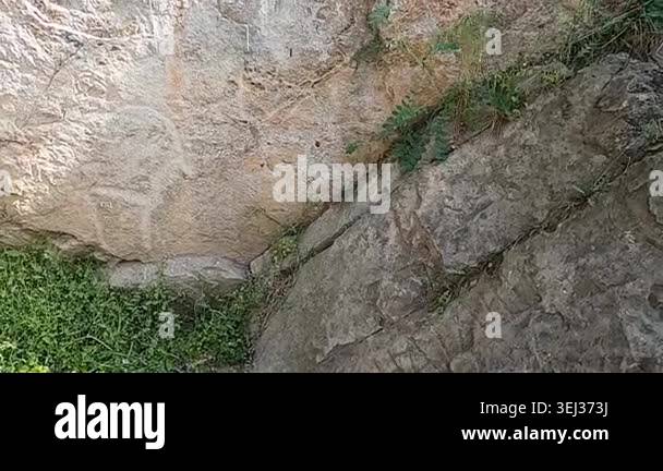 Close-up shot of ancient petroglyphs in Hodjikent, Uzbekistan featuring ...