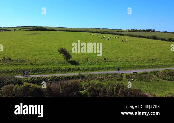 Cycle Path River Camel Cornwall 4K Stock Video Footage - Alamy