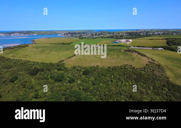 Cows on Hill River Camel Cornwall 4K Stock Video Footage - Alamy
