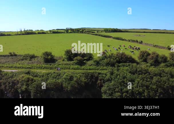 Cycle Path River Camel Cornwall 4K Stock Video Footage - Alamy