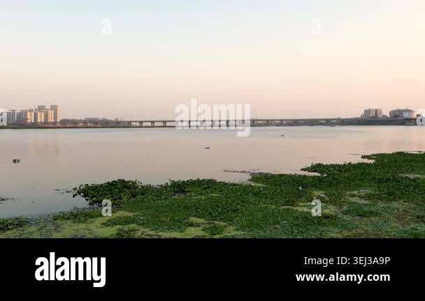 High Angle Landscape of a Wide River with Floating Water Hyacinth and a ...