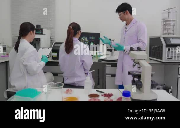 The laboratory is arranging cultured muscle cell structures within a ...