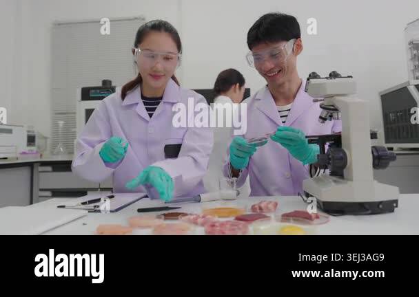 The laboratory is arranging cultured muscle cell structures within a ...