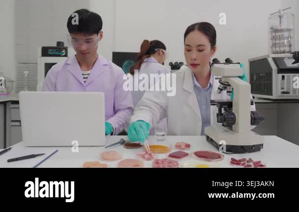 The laboratory is arranging cultured muscle cell structures within a ...