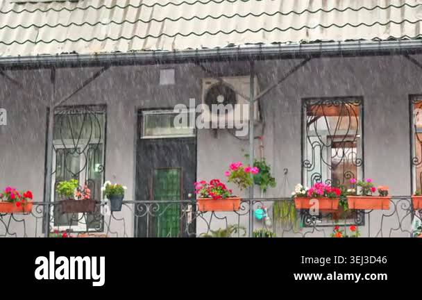 Potted flowers sitting on a wooden outdoor table during a rainy autumn ...