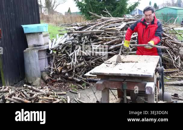 active senior cutting branches on a circular saw as part of winter wood ...