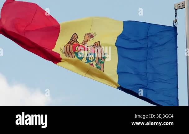 Moldova national flag waving in the wind against blue sky Stock Video ...