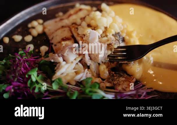 Close up of a gourmet fish dish with creamy sauce, pine nuts, and ...