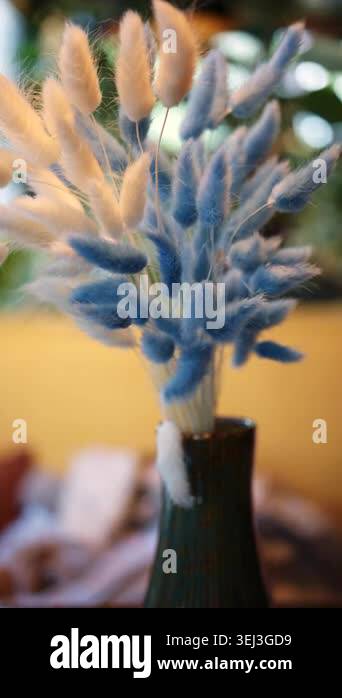 Close up of soft, fluffy dried plants in shades of light blue and beige ...