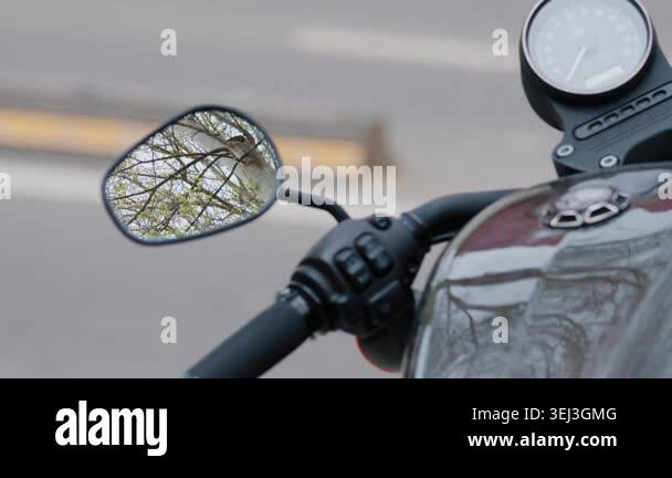 Close up view of a motorcycle mirror, handlebar controls, speedometer ...