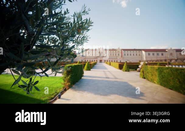 Close up of olive tree branches in the foreground with winery castle in ...