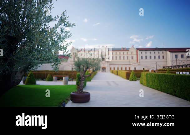 A potted olive tree frames the walkway and historic facade of winery ...