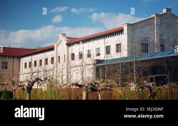 Close up of trimmed vineyard vines at winery castle in Moldova, with ...
