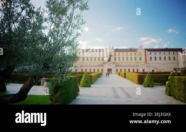 A potted olive tree frames the walkway and historic facade of winery ...