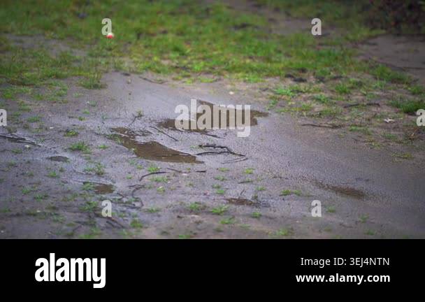 Water collecting on compacted soil surface outdoors Stock Video Footage ...