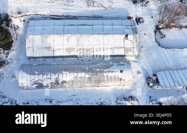Winter Snow Around Plastic Greenhouse In Countryside Stock Video ...