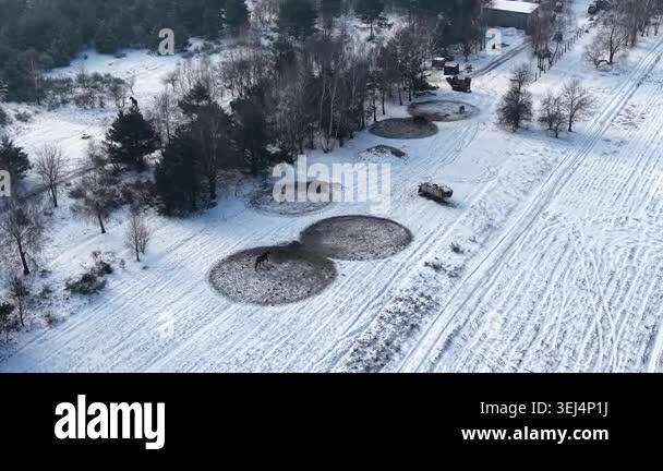 Brown horses grazing in a peaceful winter setting Stock Video Footage ...