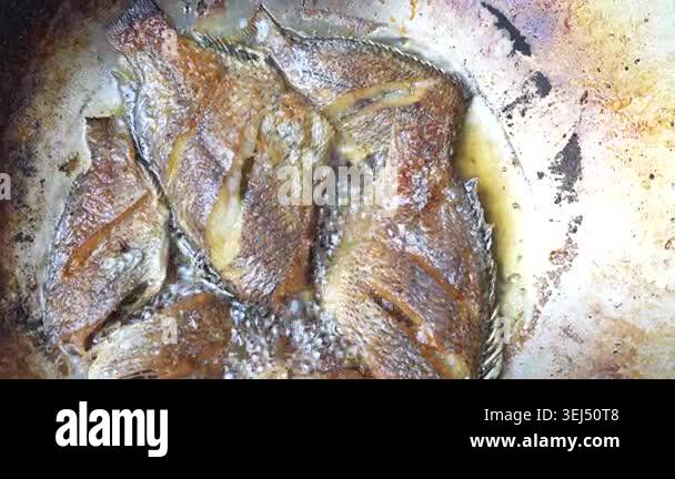 Frying Tilapia fish, a whole fish frying in a pan with sizzling hot oil ...