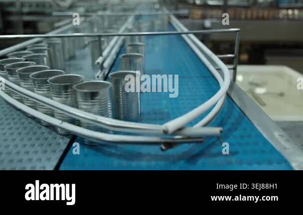 Close-up, automated conveyor belt machine with sardine fish filling in ...