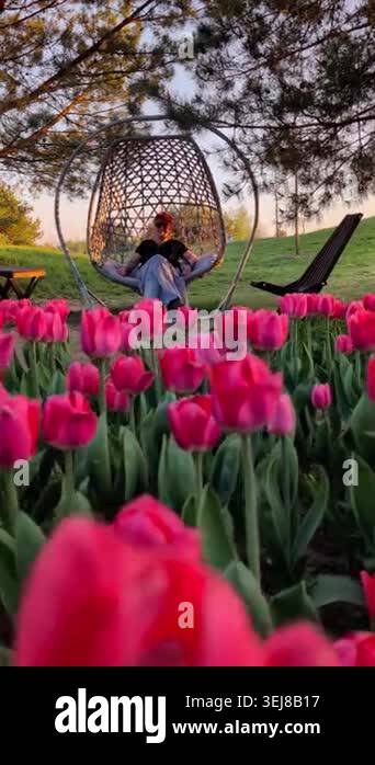 Mature woman enjoys a peaceful evening sitting in a hanging swing chair ...