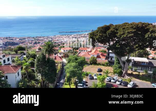 Aerial view of a sunny coastal city in Madeira Portugal. Rows of houses ...