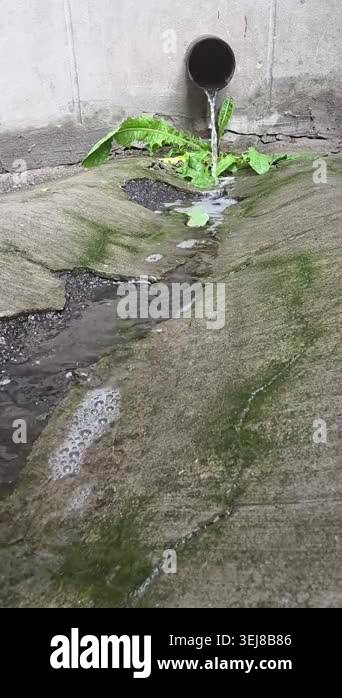 Water draining from a pipe onto a concrete channel outdoors Stock Video ...