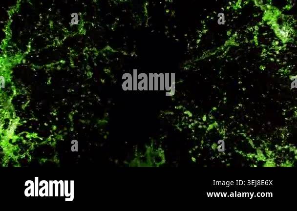 Super Slow Motion Shot of Green Splash with Place for Your Product at ...
