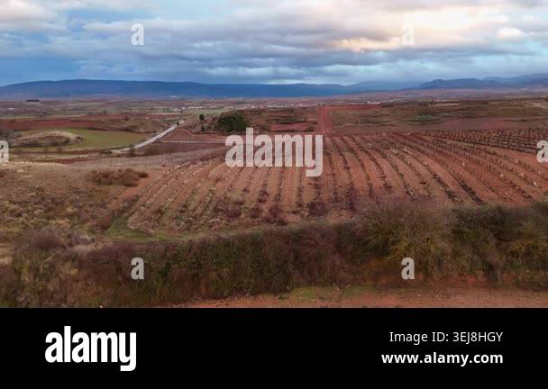 Aerial view of a vineyard plantation on a rural hill landscape under a ...