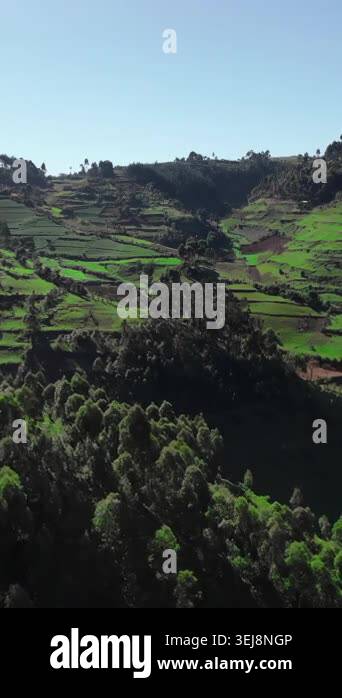 Sunlit Terraced Green Hills Panoramic View, Aerial Sweep Across ...