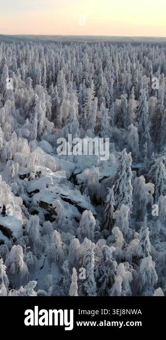 Aerial Icy Ravine Expanse With Winding Frozen Creek And Tall ...