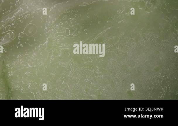 Sliced cucumber for the preparation of a salad close-up under the ...