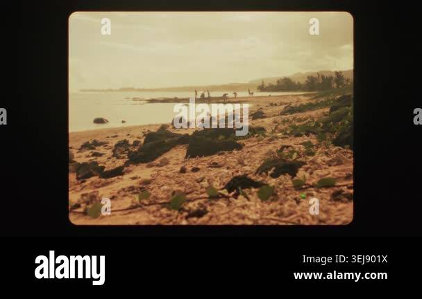 Vintage seaside sunset on rocky shore, warm golden light bathing ...