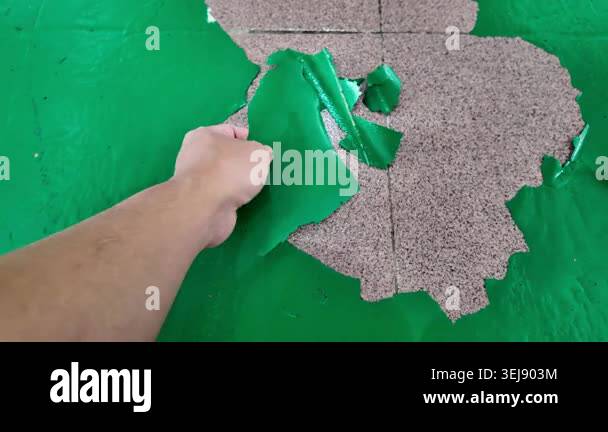 Close up hand peeling damaged green floor paint at indoor badminton ...