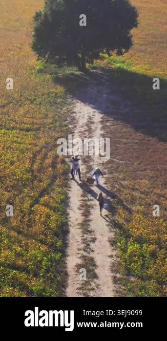 aerial field path with family walking along dusty trail toward lone ...