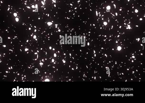 Pink cherry blossom petals falling against a black background, glowing ...