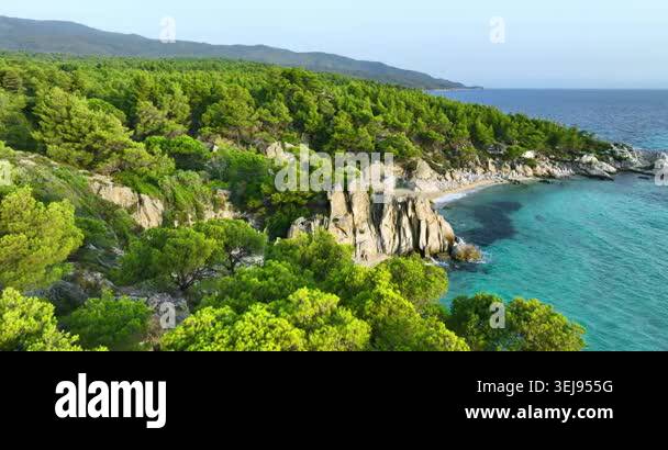 Hidden beach with rocks lush green pine trees in Halkidiki, Greece ...