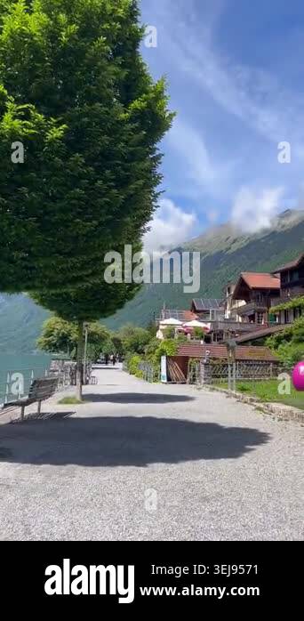 Vertical POV travel footage showing a peaceful walk along Brienz Lake ...
