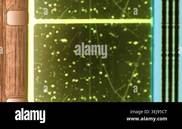 Vintage 16mm Film Leader Virus Infection Cinematic Overlay for ...